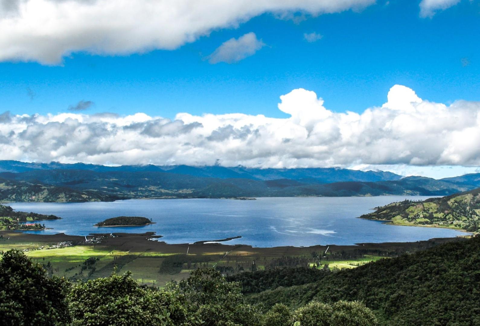 Laguna La Cocha, muerte de la planta la totora